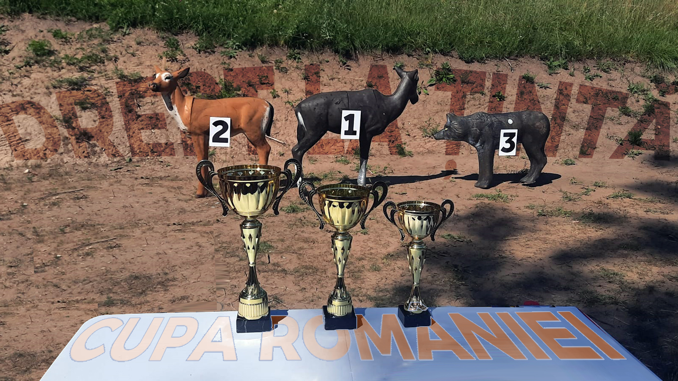 CUPA ROMÂNIEI 3D la tir cu arcul, un spectacol al preciziei într-un ...